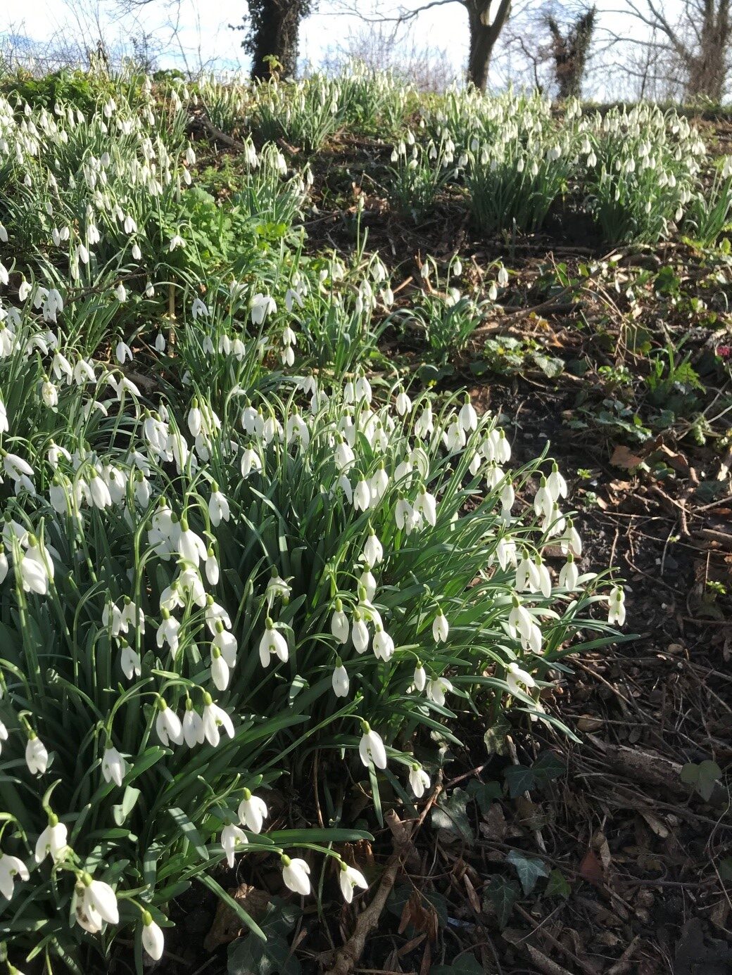 Laat de wereld kantelen, #296 - Vrijburg